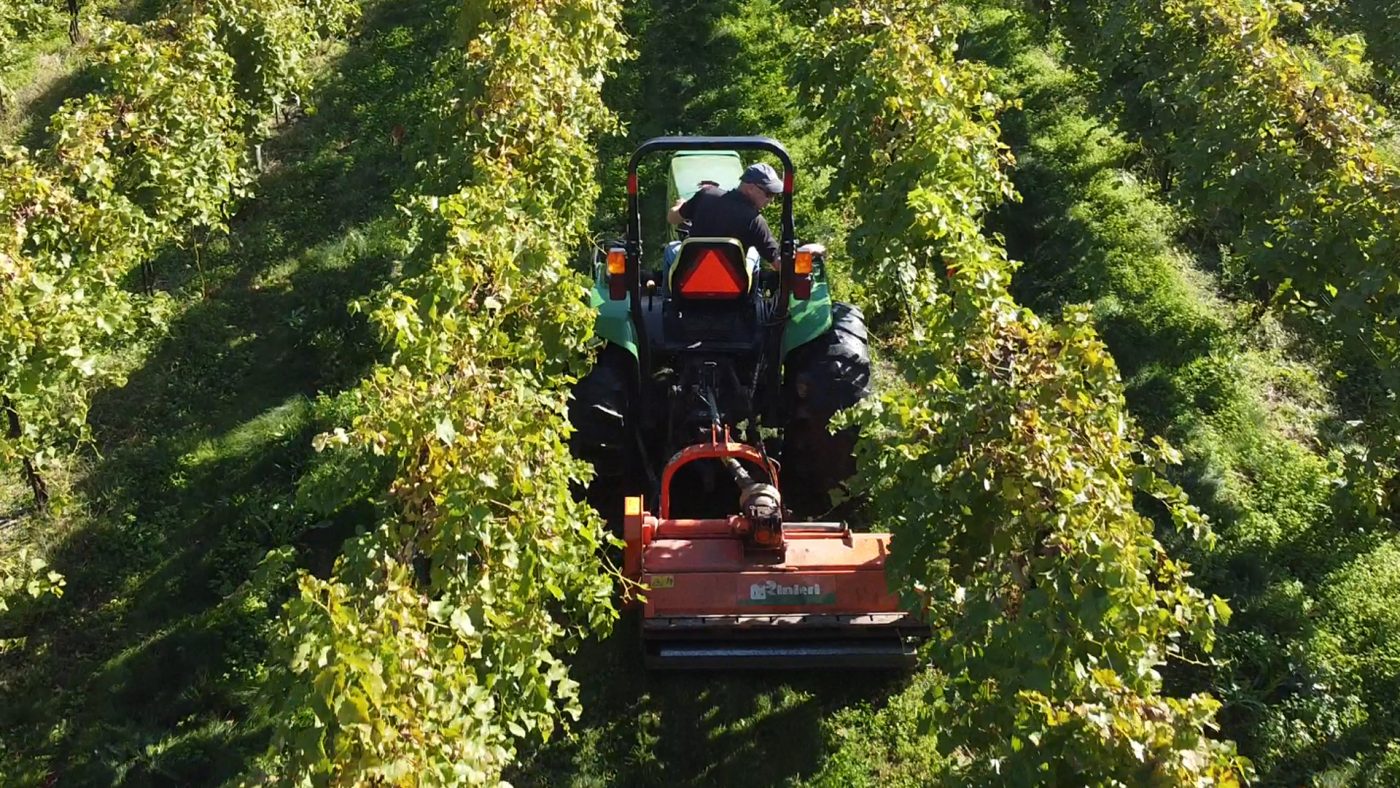 RINIERI SHREDDER TRF RANGE | Southern Machinery