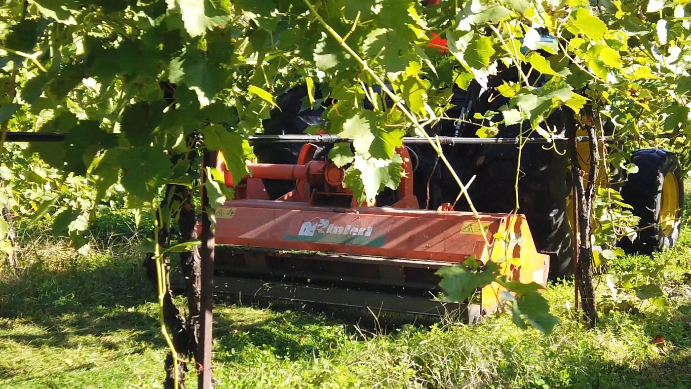 RINIERI SHREDDER TRF RANGE | Southern Machinery